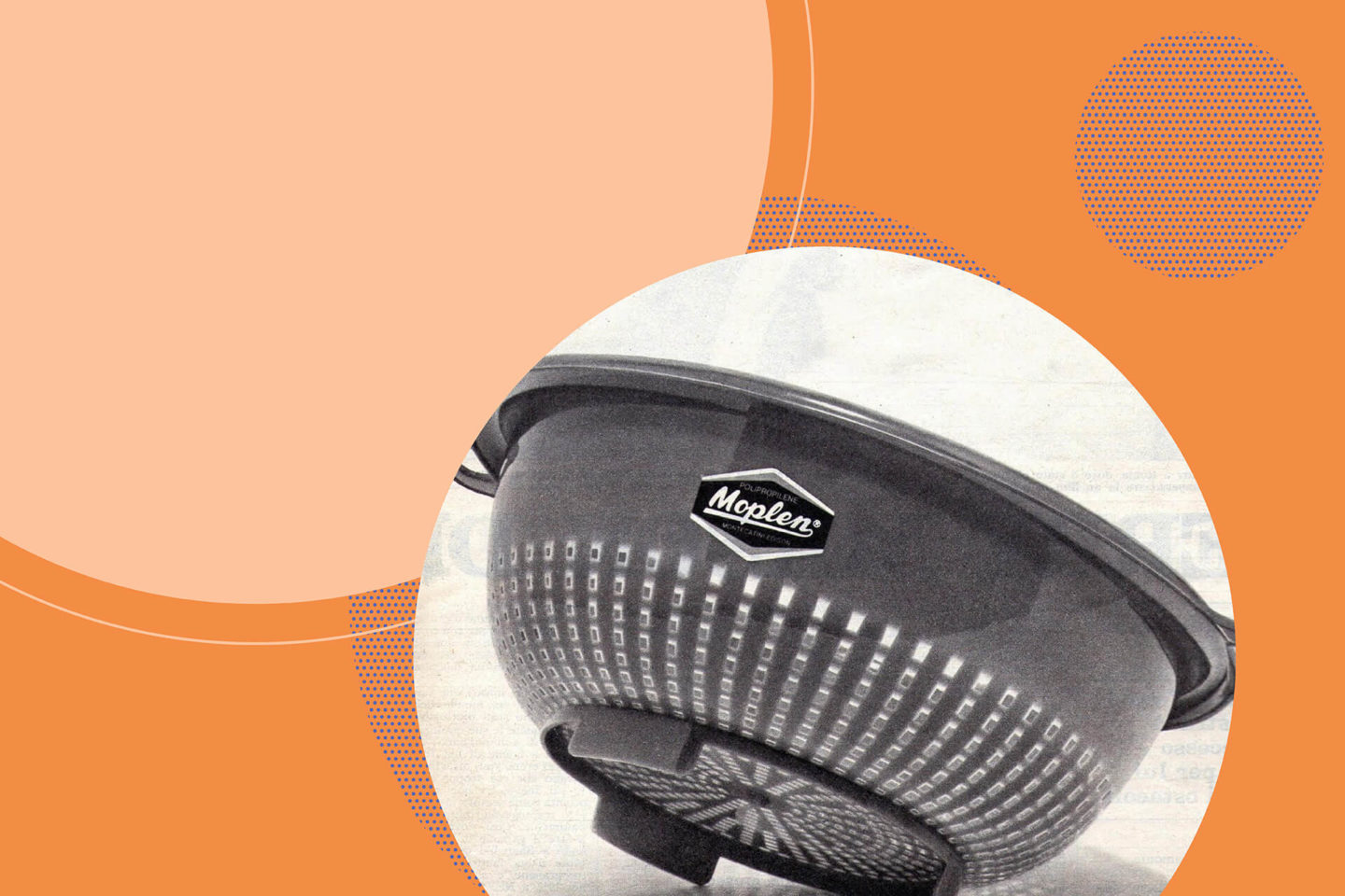 Moplen, l'inizio della rivoluzione | Fatti Non Fake